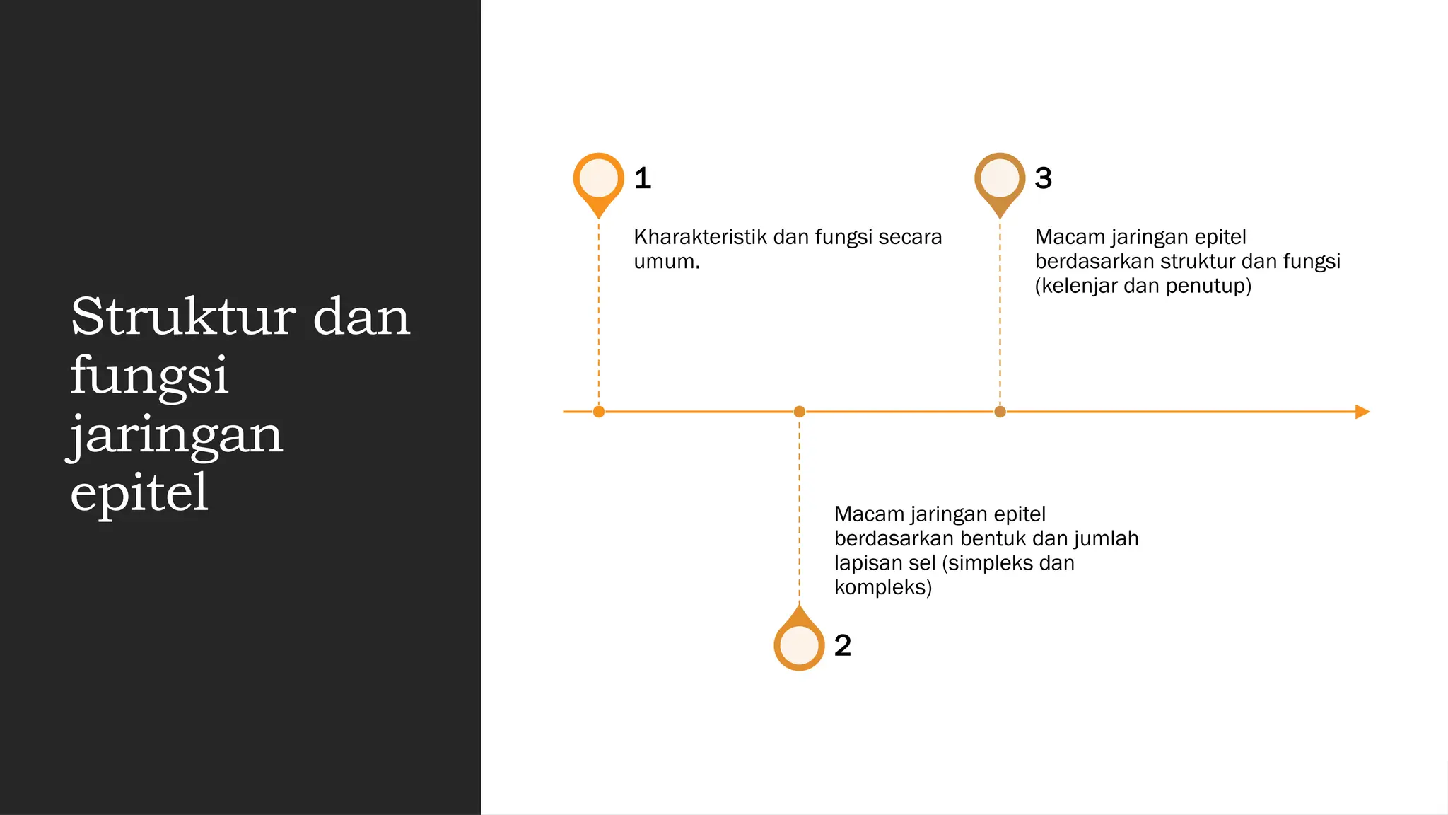Materi Jaringan Epitel, Struktur, dan Fungsinya | PPTX