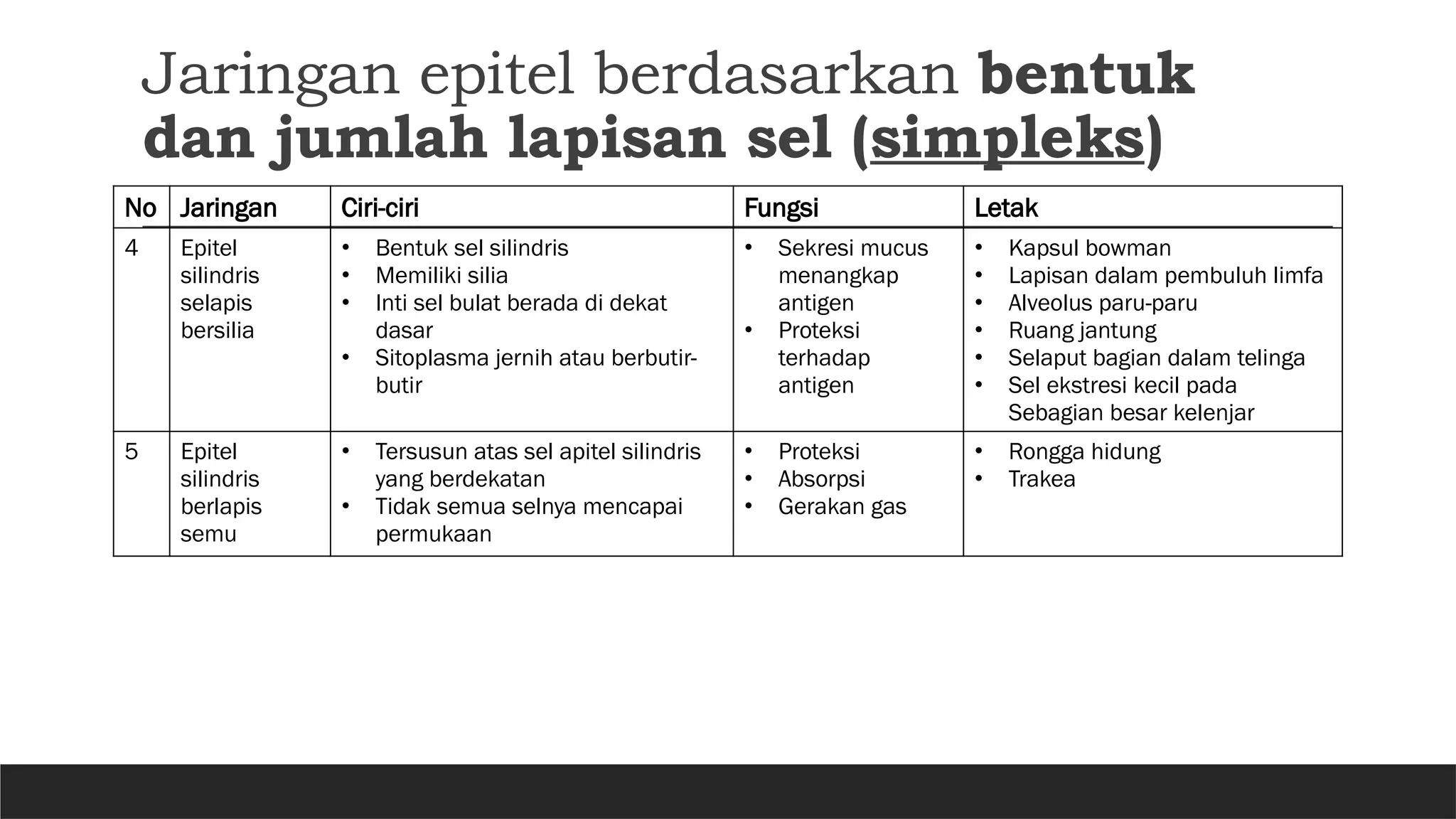 Materi Jaringan Epitel, Struktur, dan Fungsinya | PPTX