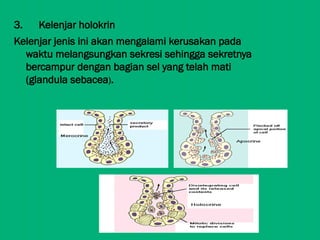 Materi Histobiologi (Hewan): Jaringan Epitel | PPTX