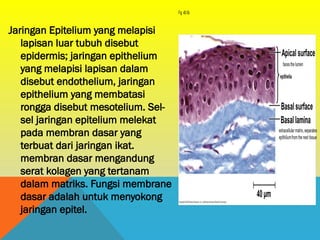 Materi Histobiologi (Hewan): Jaringan Epitel | PPTX