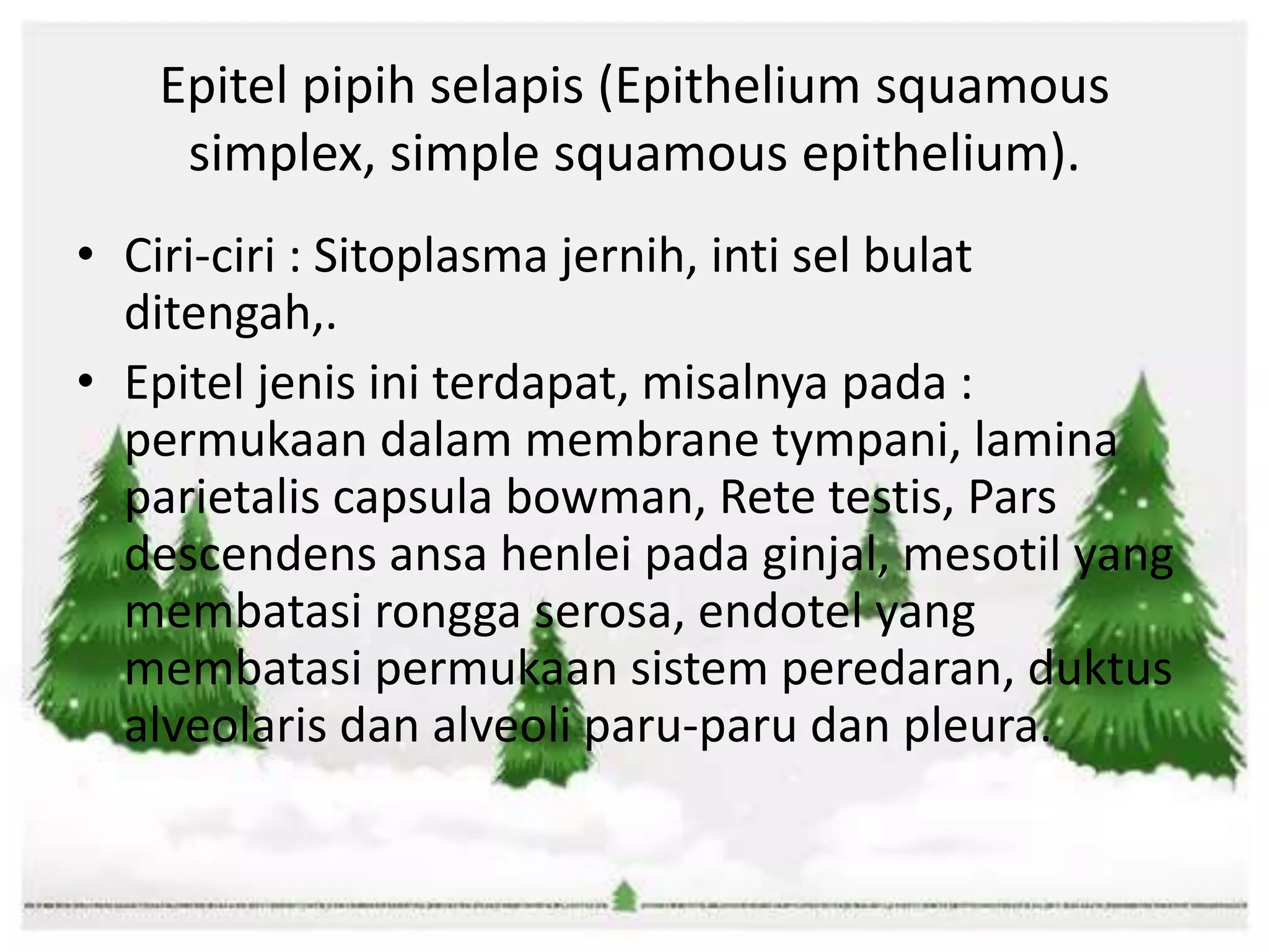 Jaringan Epitel | PPTX