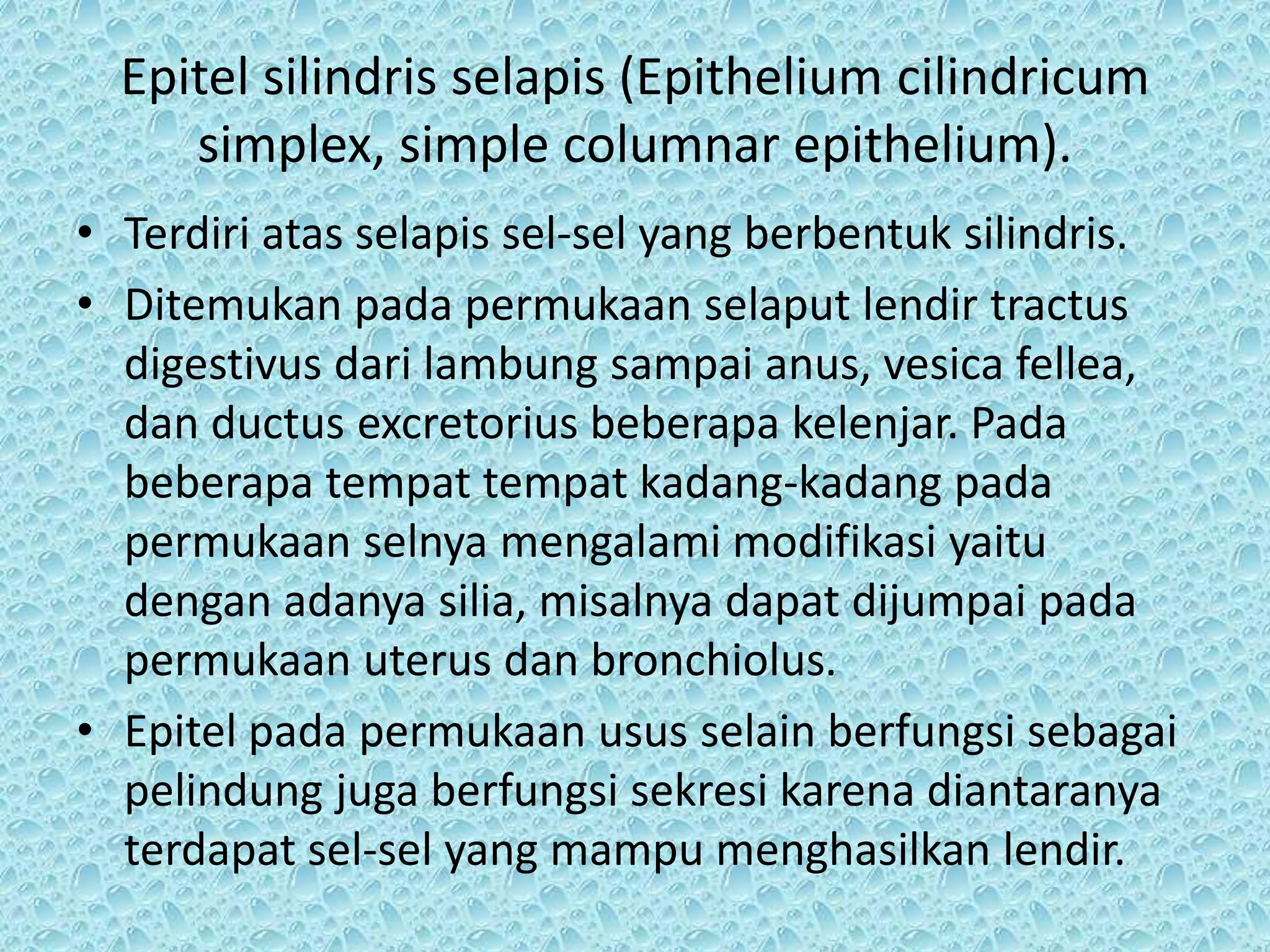 Jaringan Epitel | PPTX