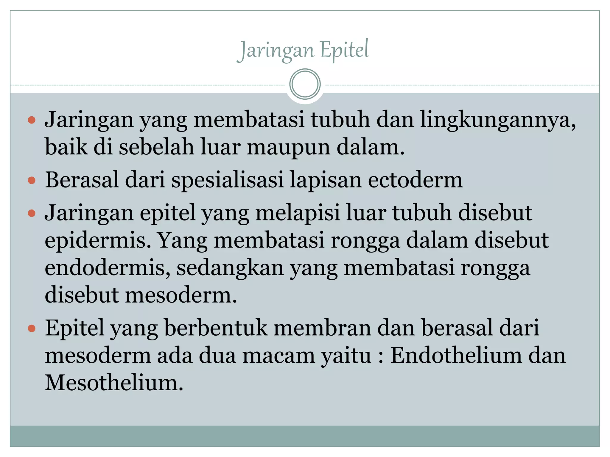 Jaringan Epitel | PPTX