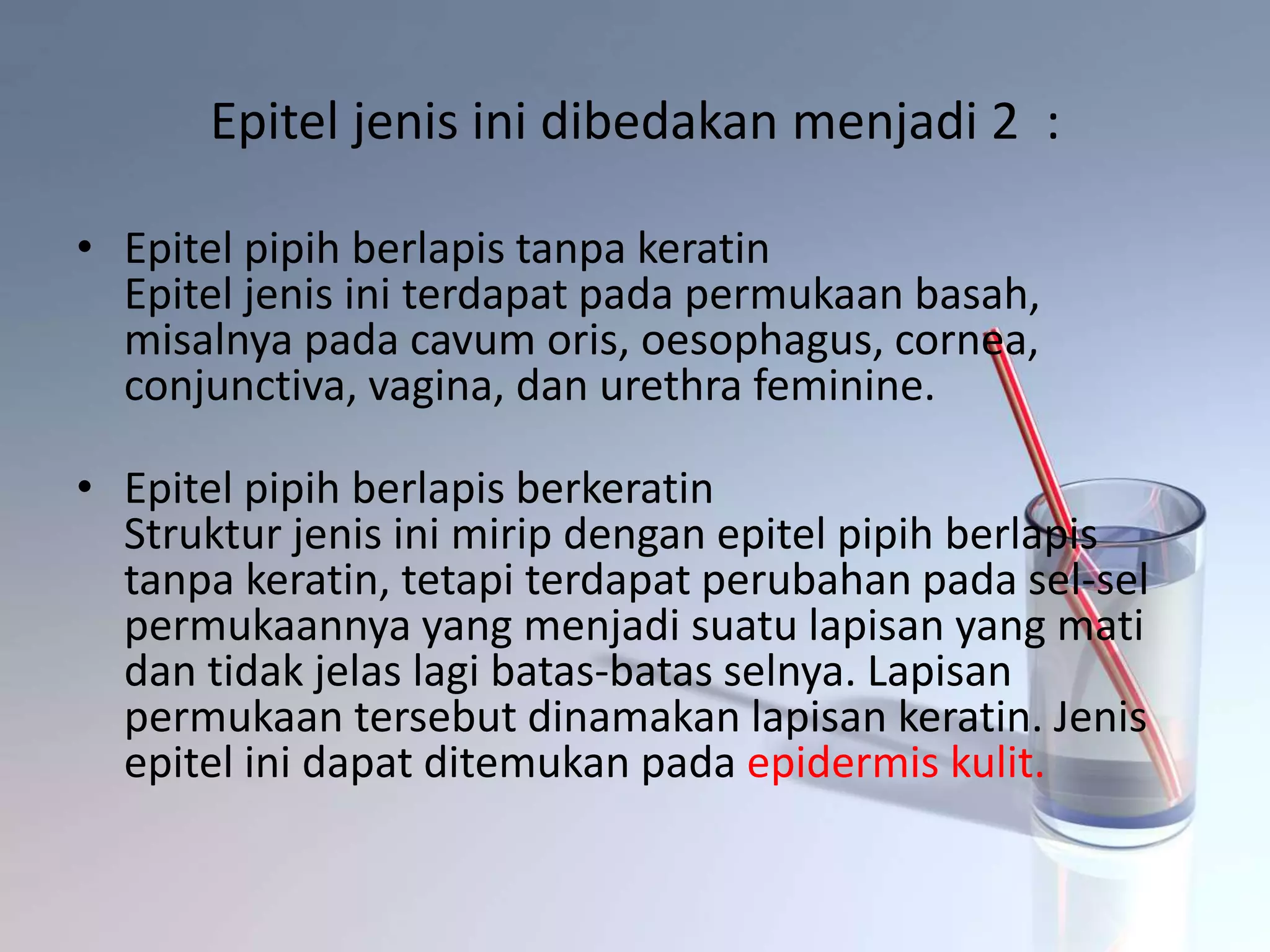 Jaringan Epitel | PPTX