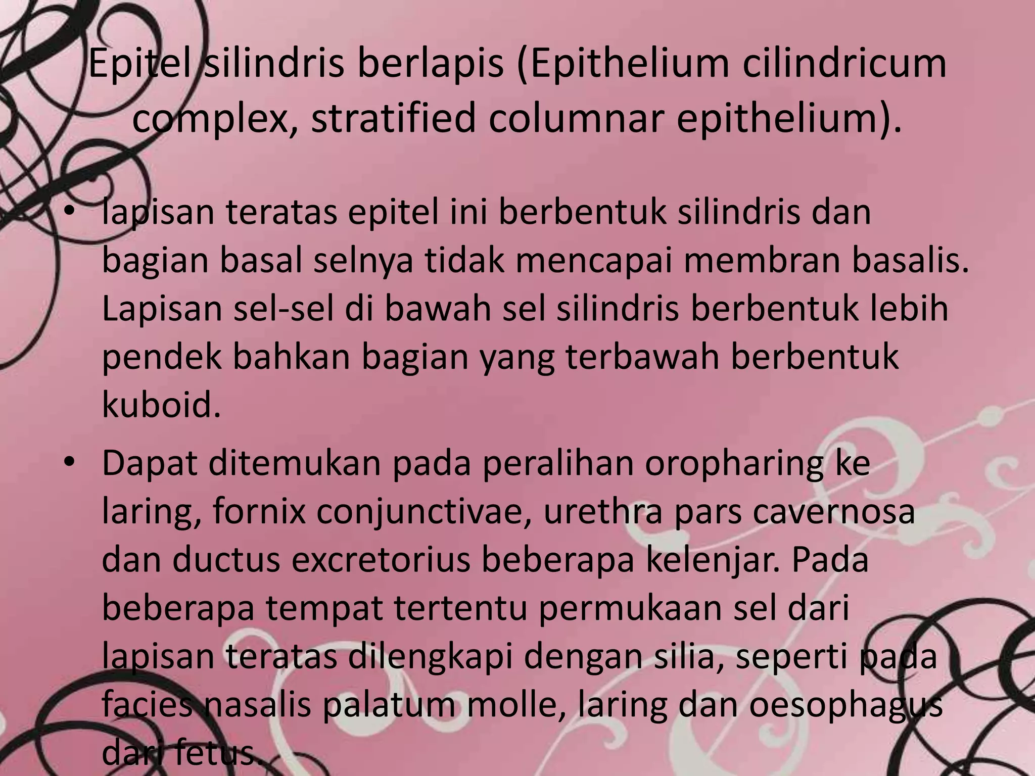 Jaringan Epitel | PPTX