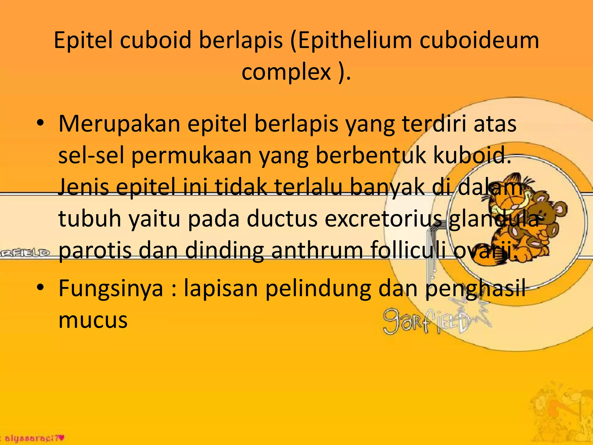 Jaringan Epitel | PPTX