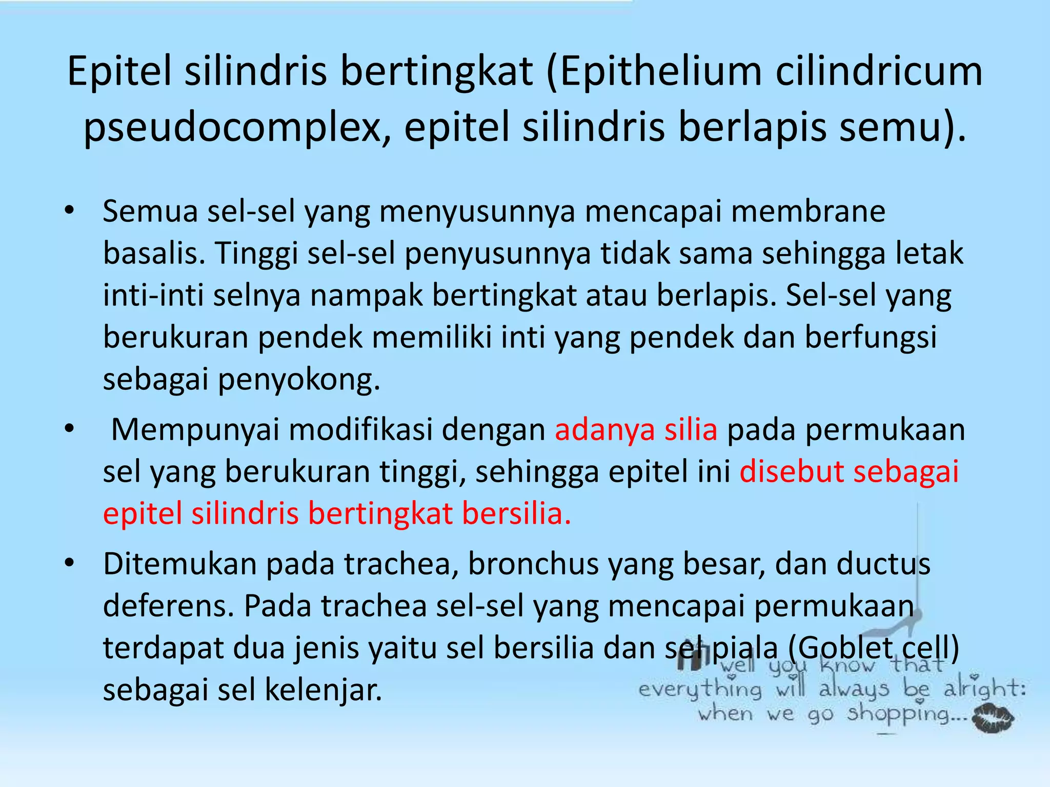 Jaringan Epitel | PPTX