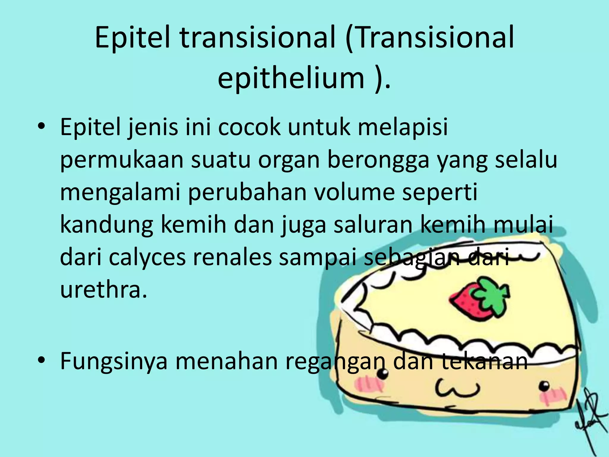 Jaringan Epitel | PPTX