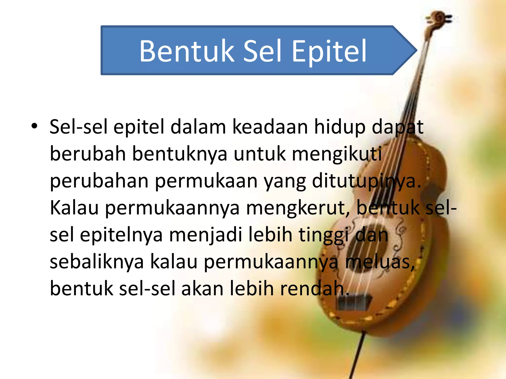 Jaringan Epitel | PPTX