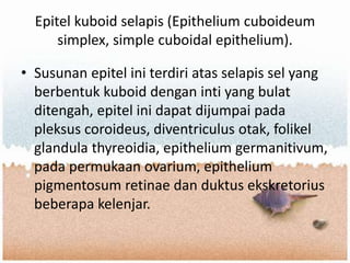 Jaringan Epitel | PPTX