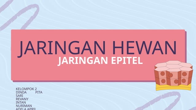 jaringan epitel biologi jaringan epitel kubus epitel pipih | PPTX