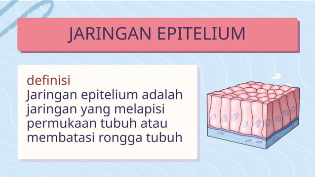 jaringan epitel biologi jaringan epitel kubus epitel pipih | PPTX