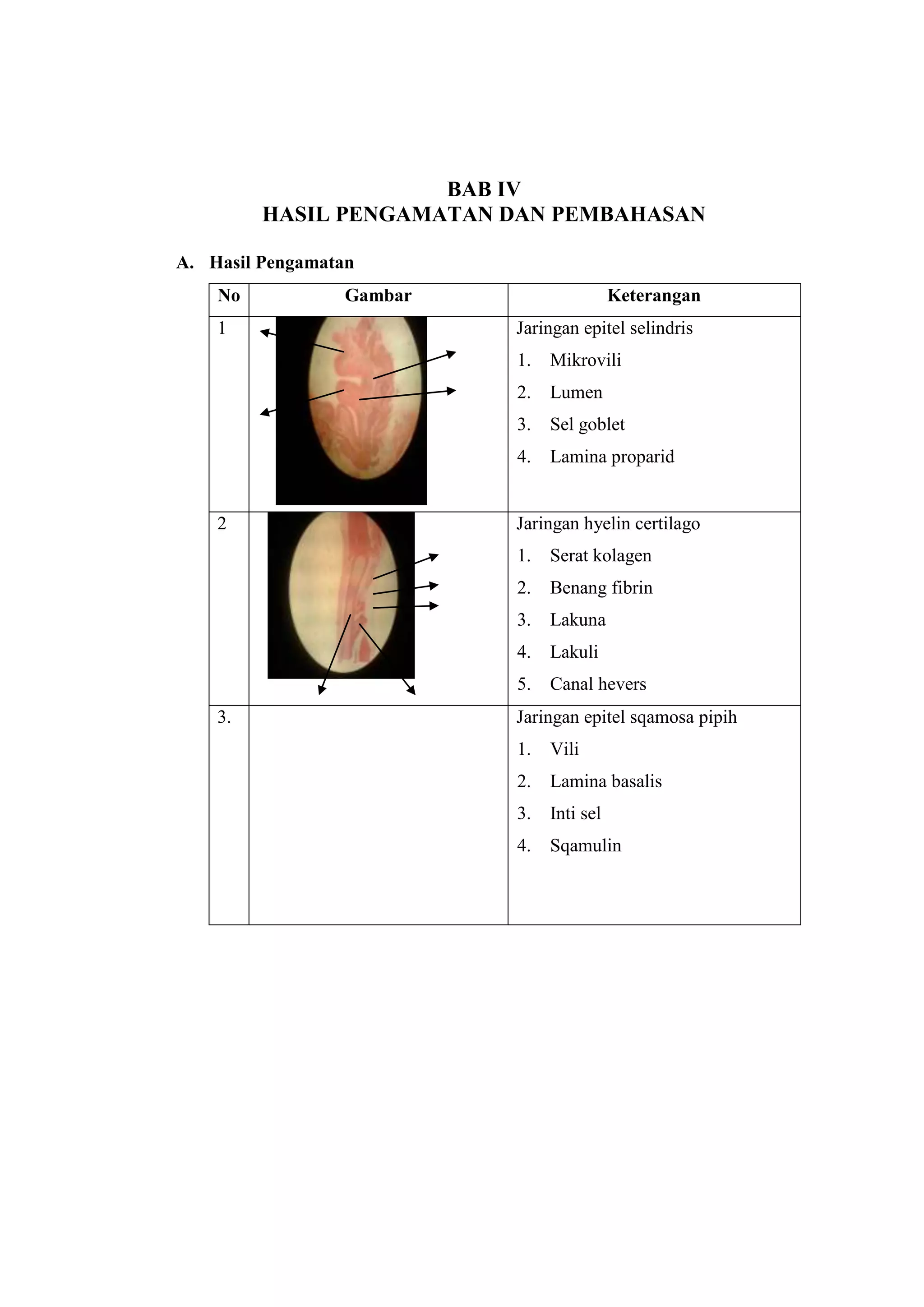 Jaringan epitel dan jaringan ikat | DOCX