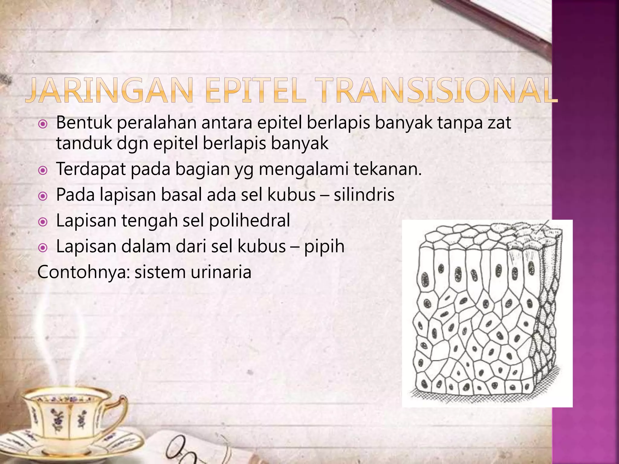 Jaringan epitel (xi science 3) | PPTX