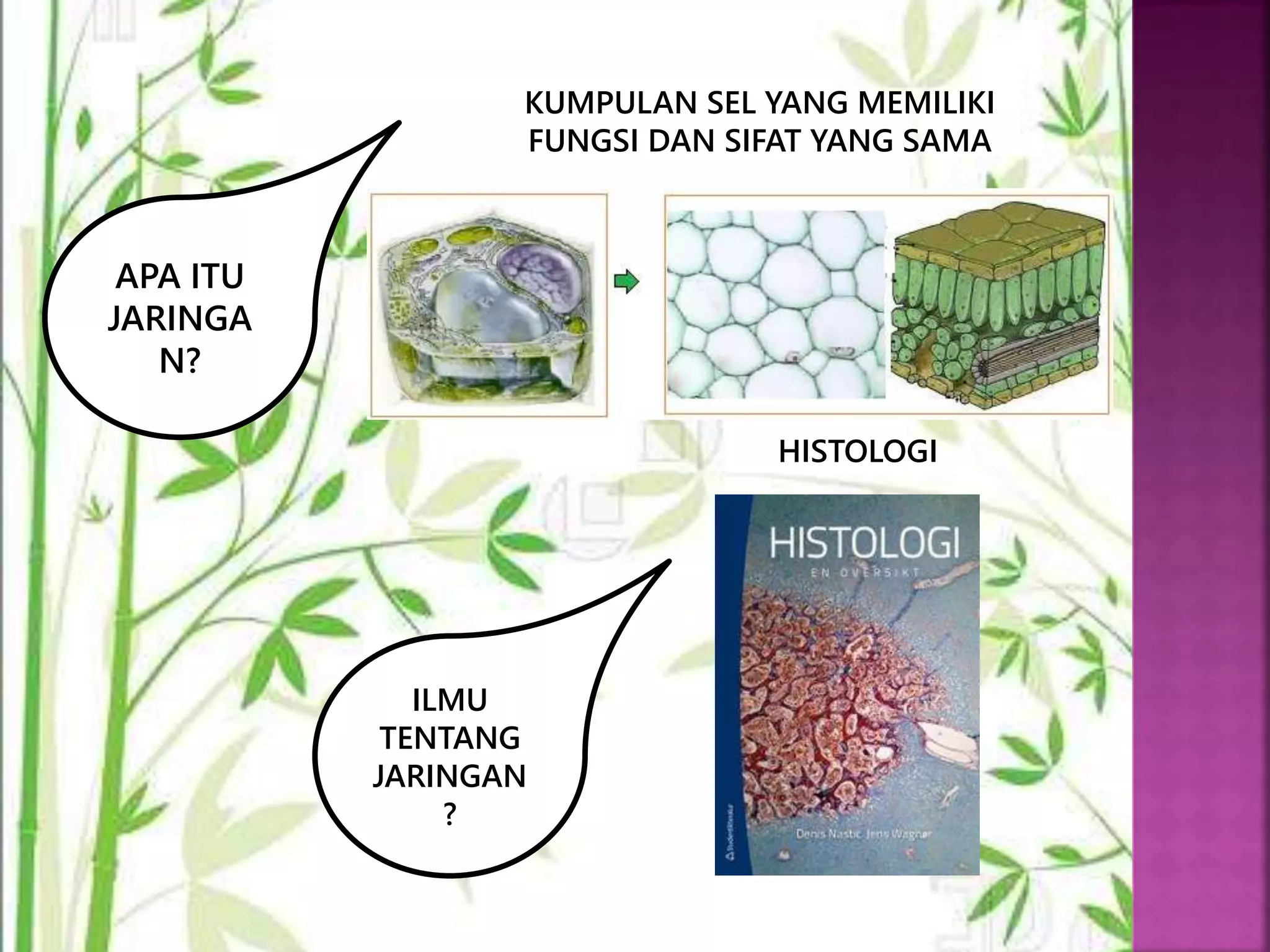Jaringan epitel (xi science 3) | PPTX