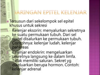Jaringan epitel (xi science 3) | PPTX