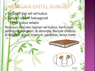 Jaringan epitel (xi science 3) | PPTX