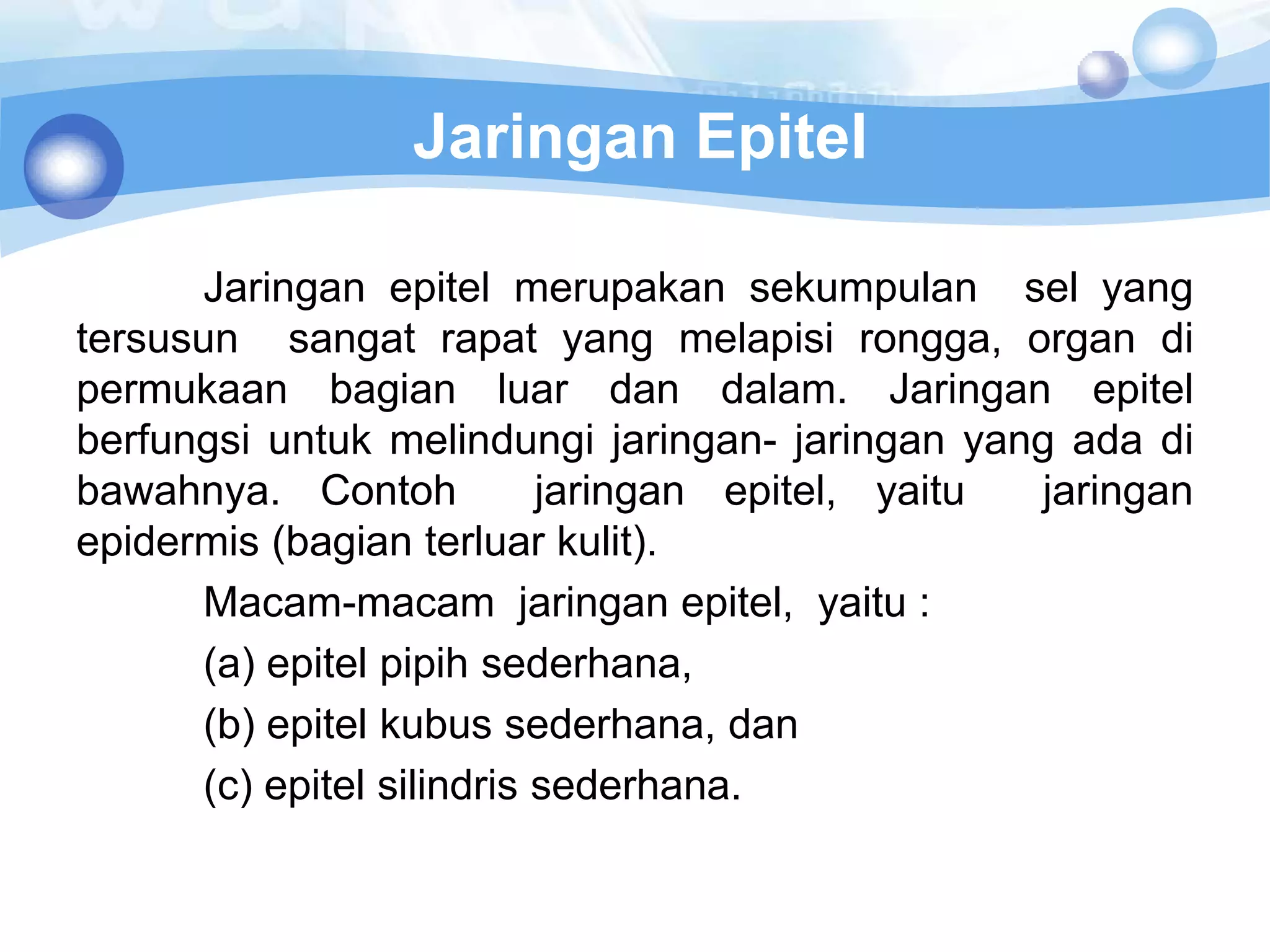 Jaringan epitel kelompok 1 ppg | PPTX