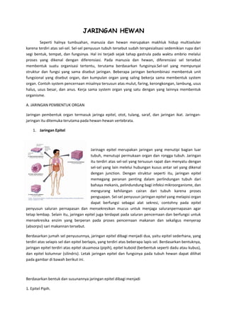 Jaringan hewan | PDF