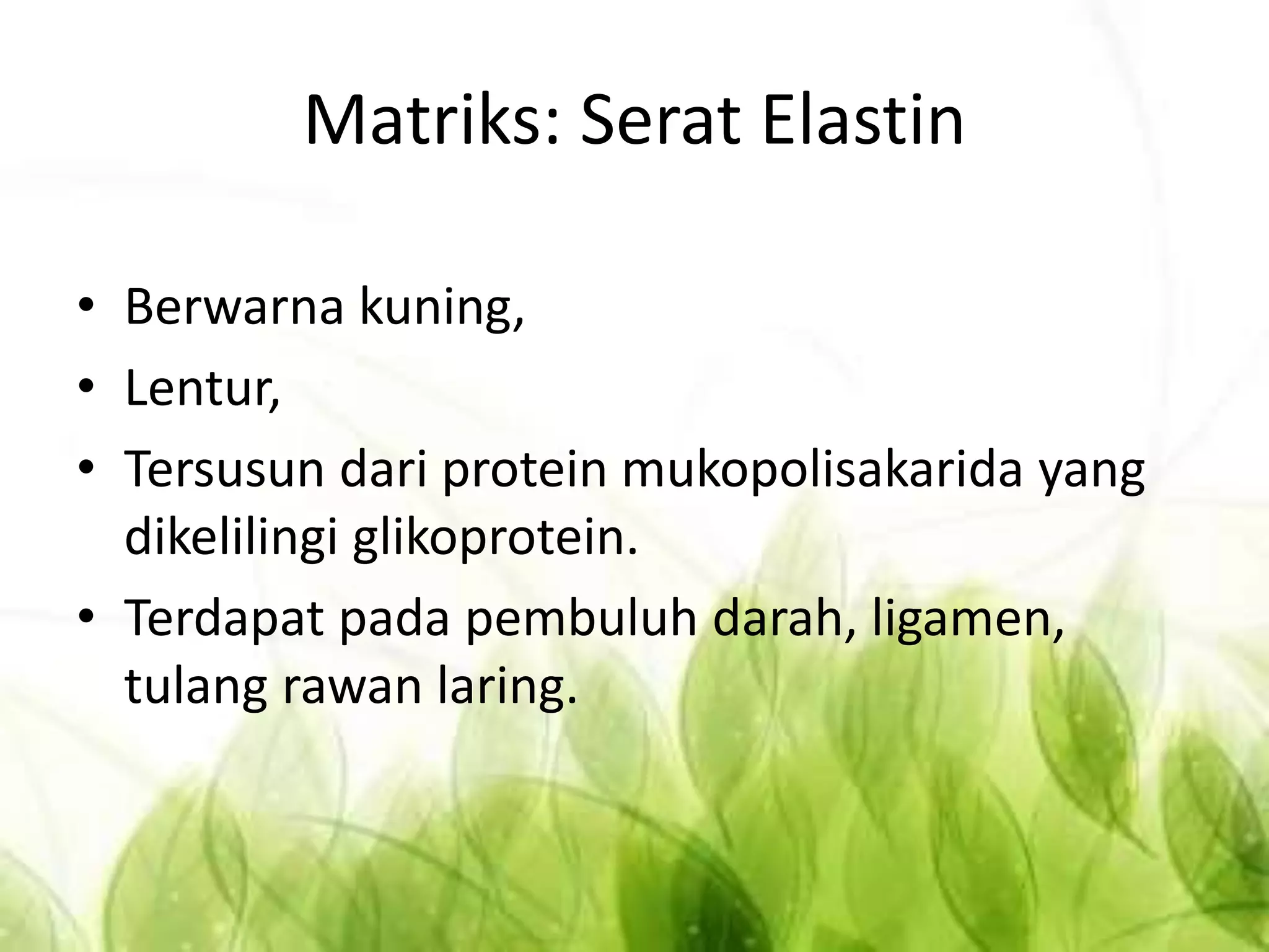 Jaringan_hewan_HabibFile | PPTX