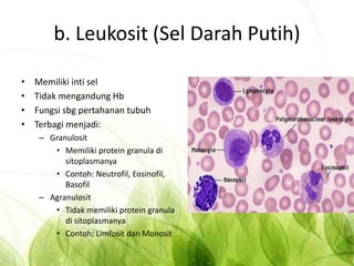 Jaringan_hewan_HabibFile | PPTX