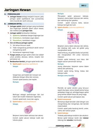 Jaringan Hewan | PDF