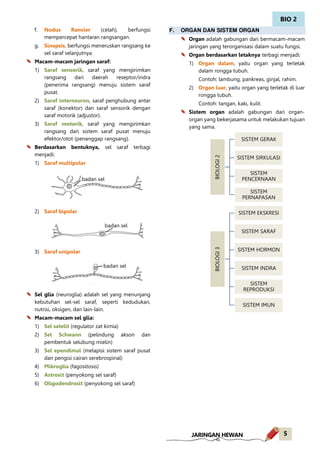 Jaringan Hewan | PDF