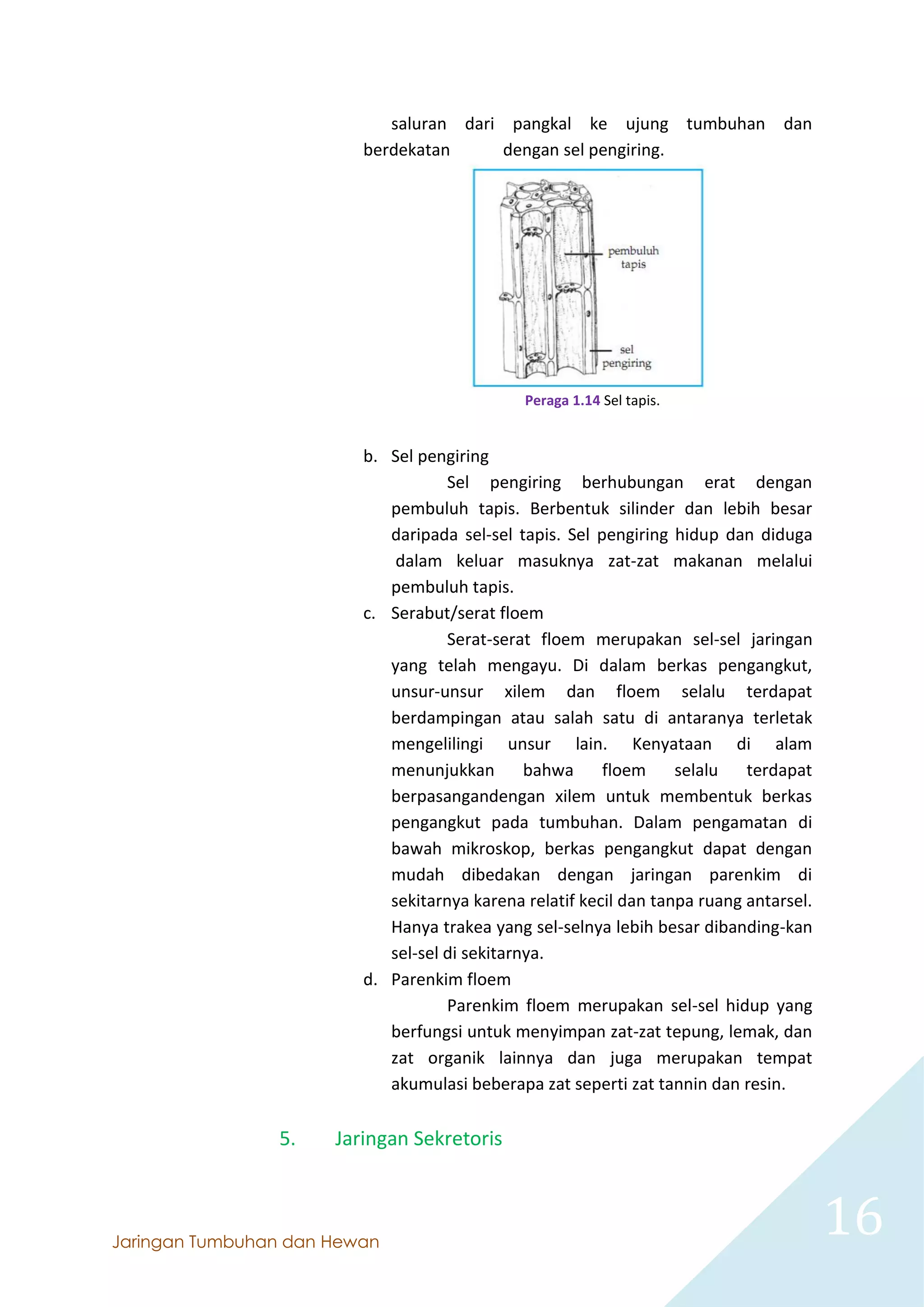 Jaringan Tumbuhan dan Hewan Untuk Kelas XI SMA | PDF
