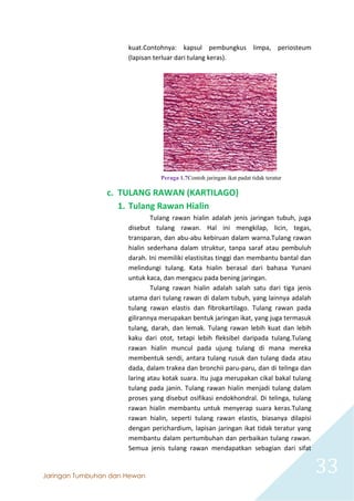 Jaringan Tumbuhan dan Hewan Untuk Kelas XI SMA | PDF