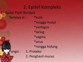 Jaringan hewan vertebrata (jaringan epitel) | PPTX
