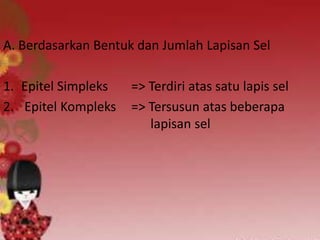 Jaringan hewan vertebrata (jaringan epitel) | PPTX