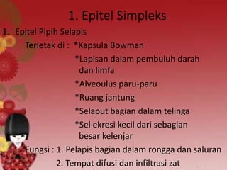 Jaringan hewan vertebrata (jaringan epitel) | PPTX