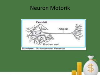 Jaringan hewan vertebrata (jaringan pengikat) | PPT