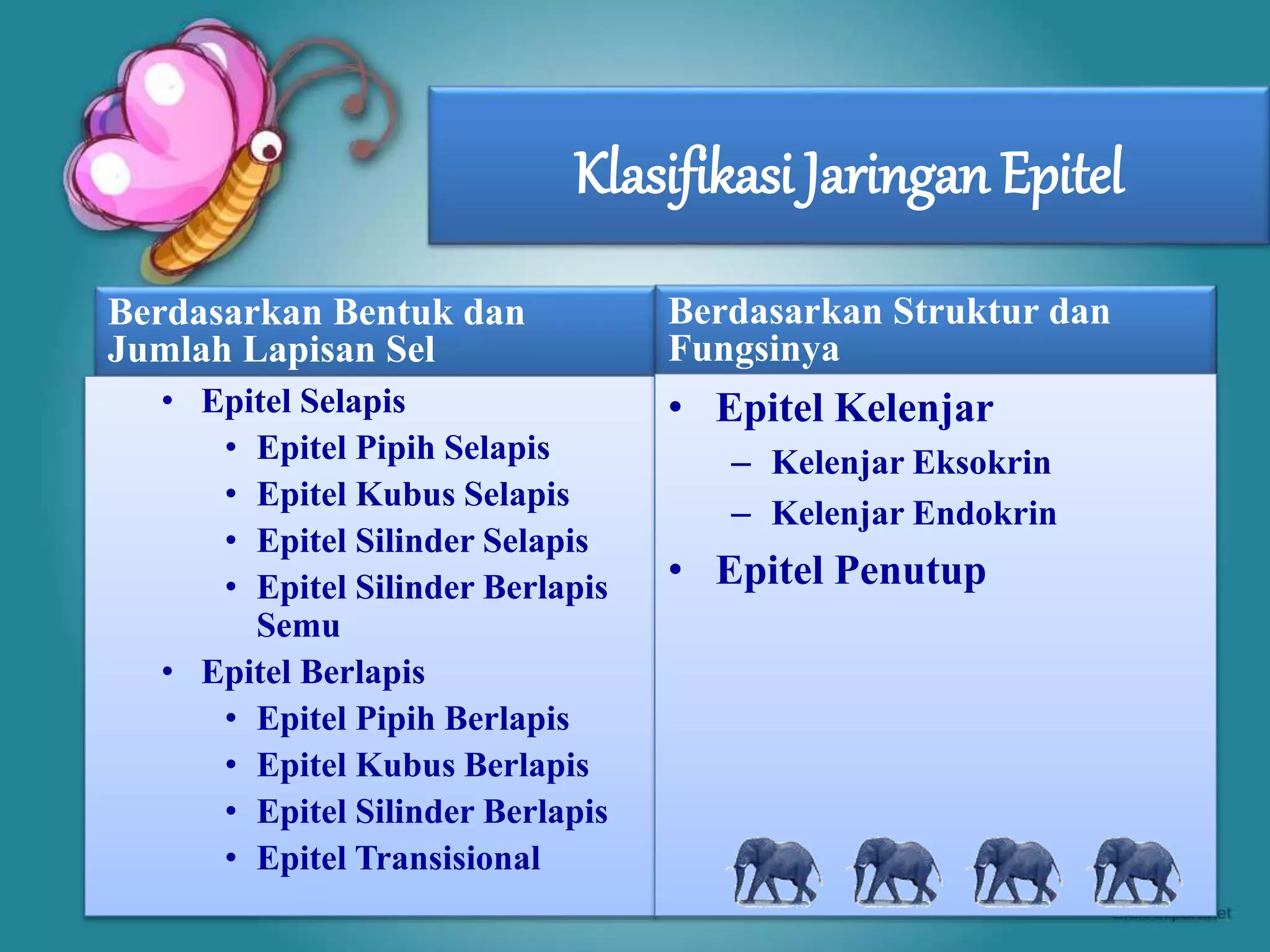Jaringan hewan x ci dwi ditha-fidia-syafira-virga | PPTX