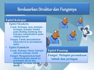 Jaringan hewan x ci dwi ditha-fidia-syafira-virga | PPT