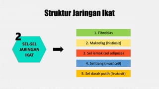 Jaringan ikat | PPTX