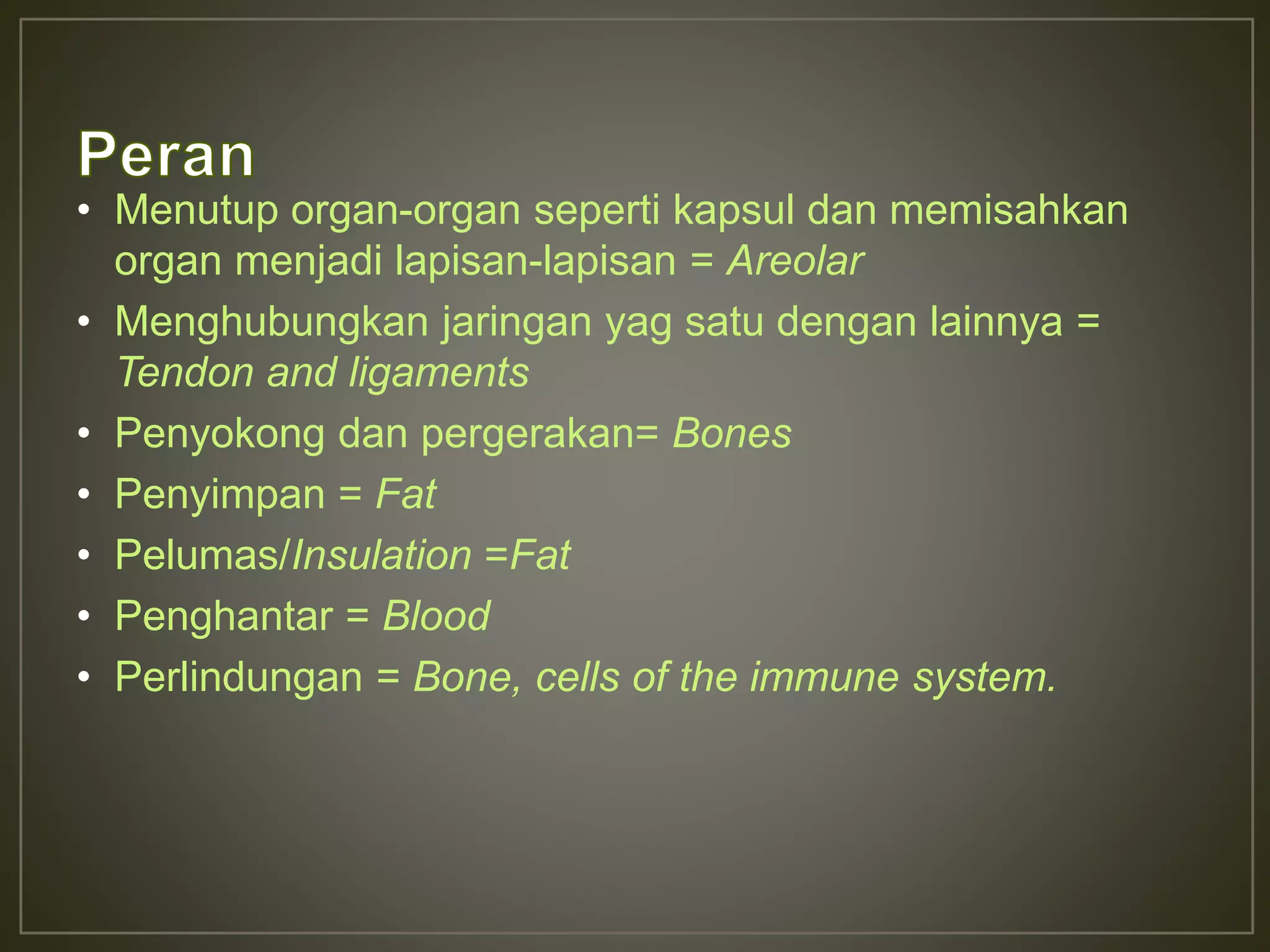 Jaringan ikat | PPTX