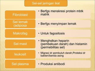 Materi tentang jaringan ikat mencakup tentang ciri-ciri | PPT