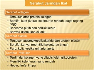 Materi tentang jaringan ikat mencakup tentang ciri-ciri | PPT