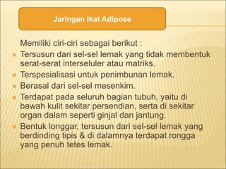 Materi tentang jaringan ikat mencakup tentang ciri-ciri | PPT