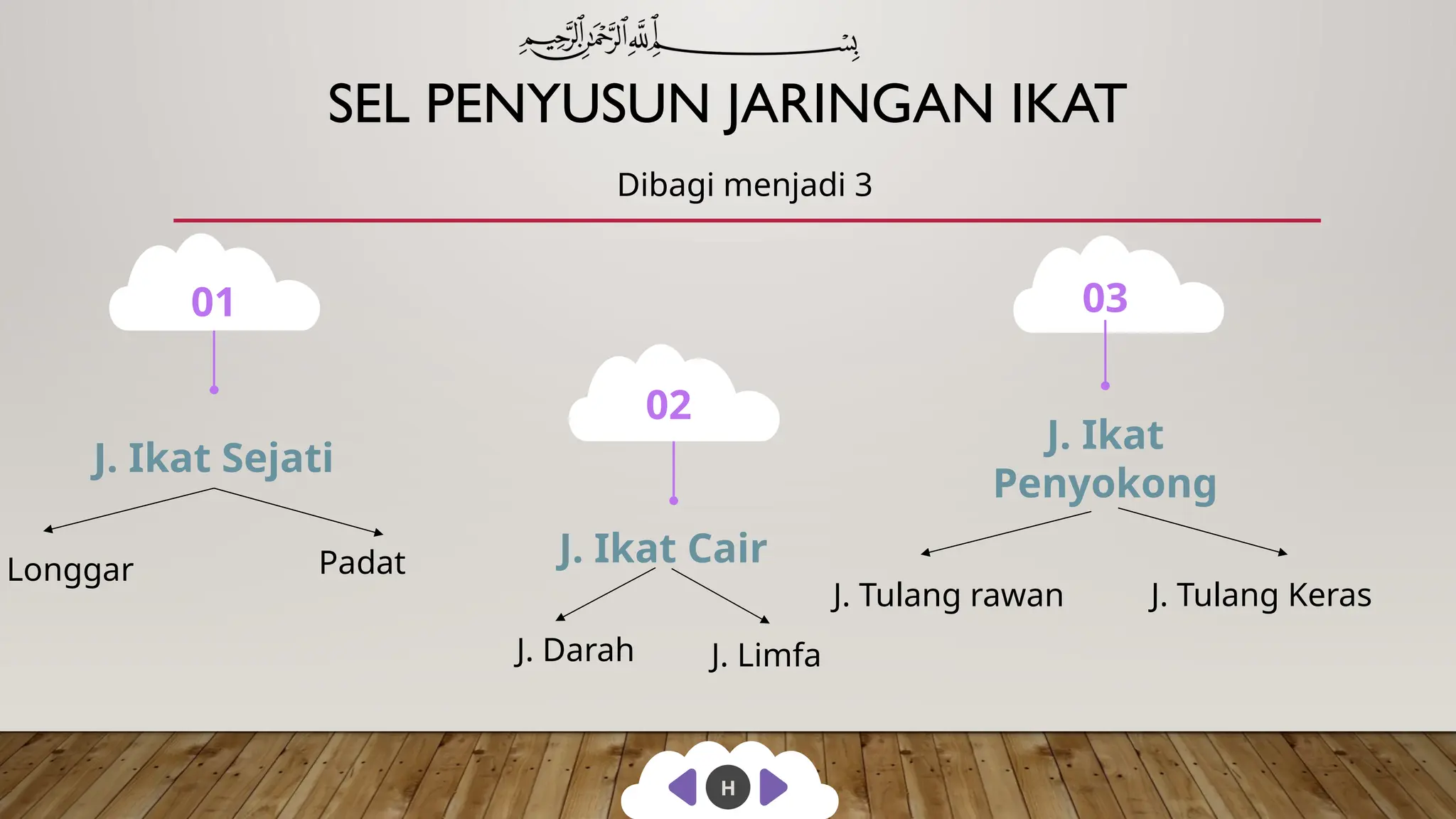 Jaringan Ikat pada manusia Power Point.pptx