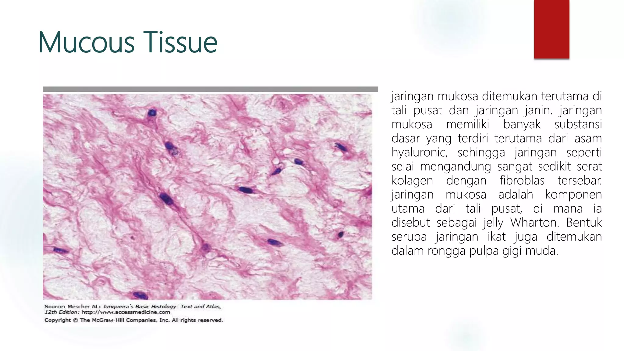 Jaringan ikat ( CONNECTIVE TISSUE) | PPTX