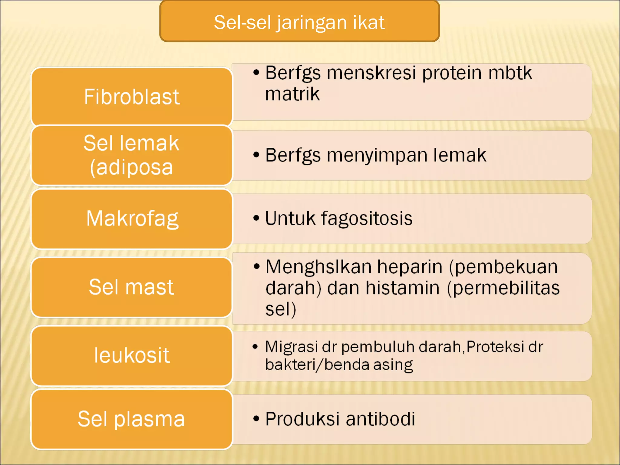 Jaringan Ikat | PPT