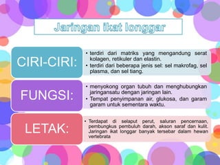 Jaringan ikat | PPTX