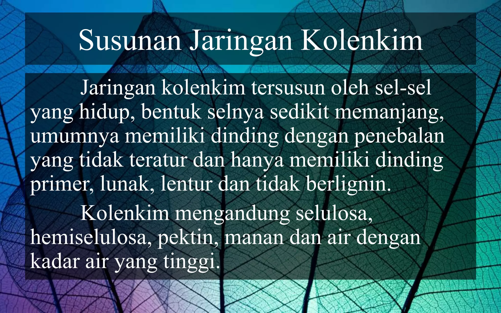 Jaringan kolenkim | PPTX