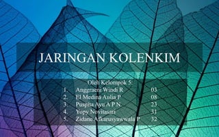 Jaringan kolenkim | PPTX