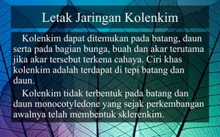 Jaringan kolenkim | PPTX