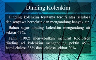 Jaringan kolenkim | PPTX