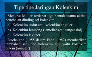 Jaringan kolenkim | PPTX