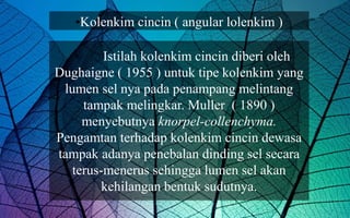 Jaringan kolenkim | PPTX